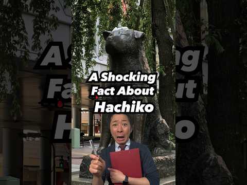 A shocking fact about Hachiko in Shibuya #japaneseculture #shibuya #hachiko #japanvlog
