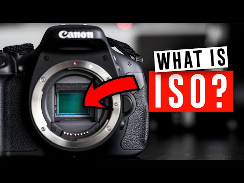 Camera Basics: ISO