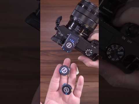Hollyland Lark M2 Review - Real Word Test!