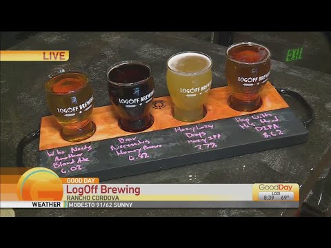 LogOff Brewing Pt. 2