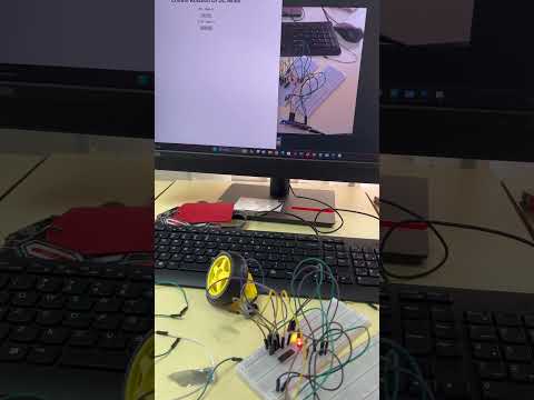 Final Assessment