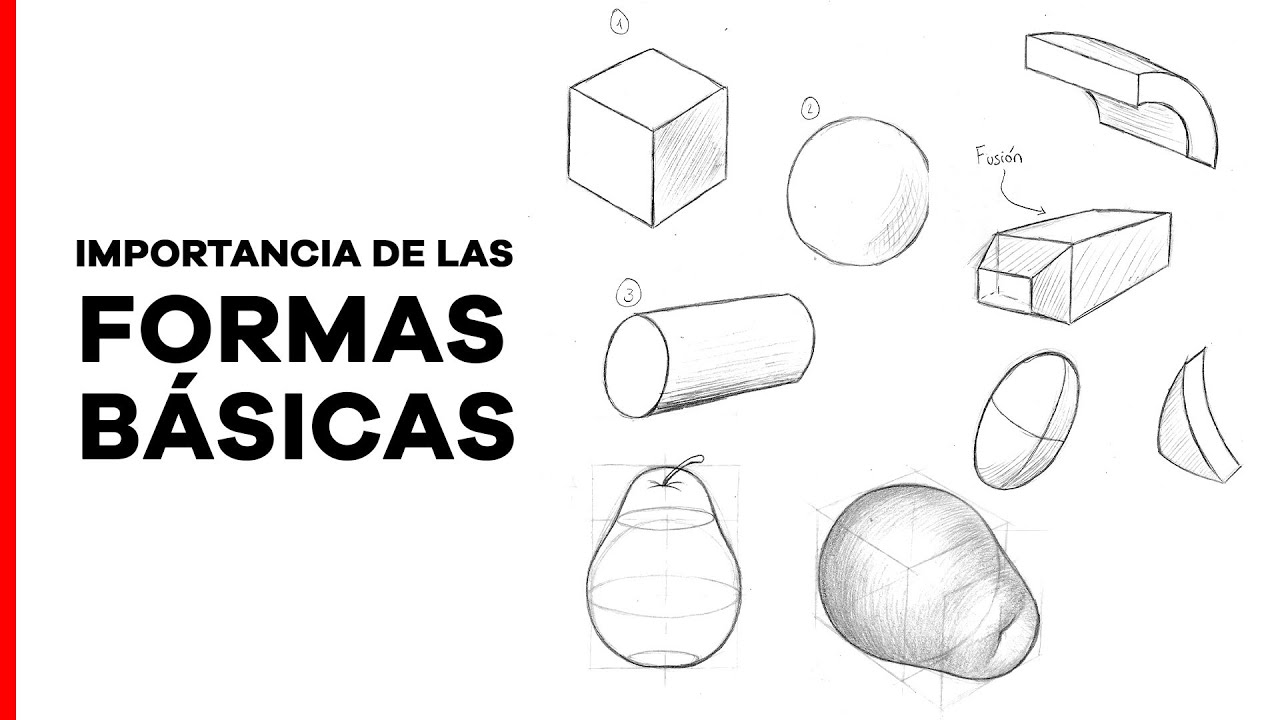 Domina el Dibujo desde la Base: La Importancia de las FORMAS BÁSICAS!