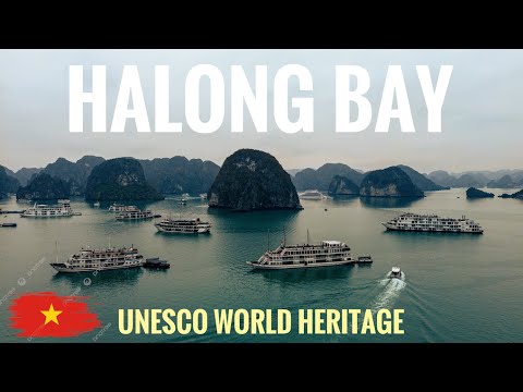 Halong Bay - A Full Day Cruise Tour near Hanoi, Vietnam 🇻🇳 (Travel Guide)