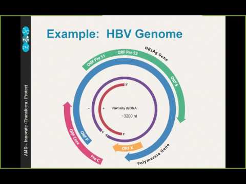 Molecular Epidemiology and Sequencing Approaches in Public Health: Webinar 2