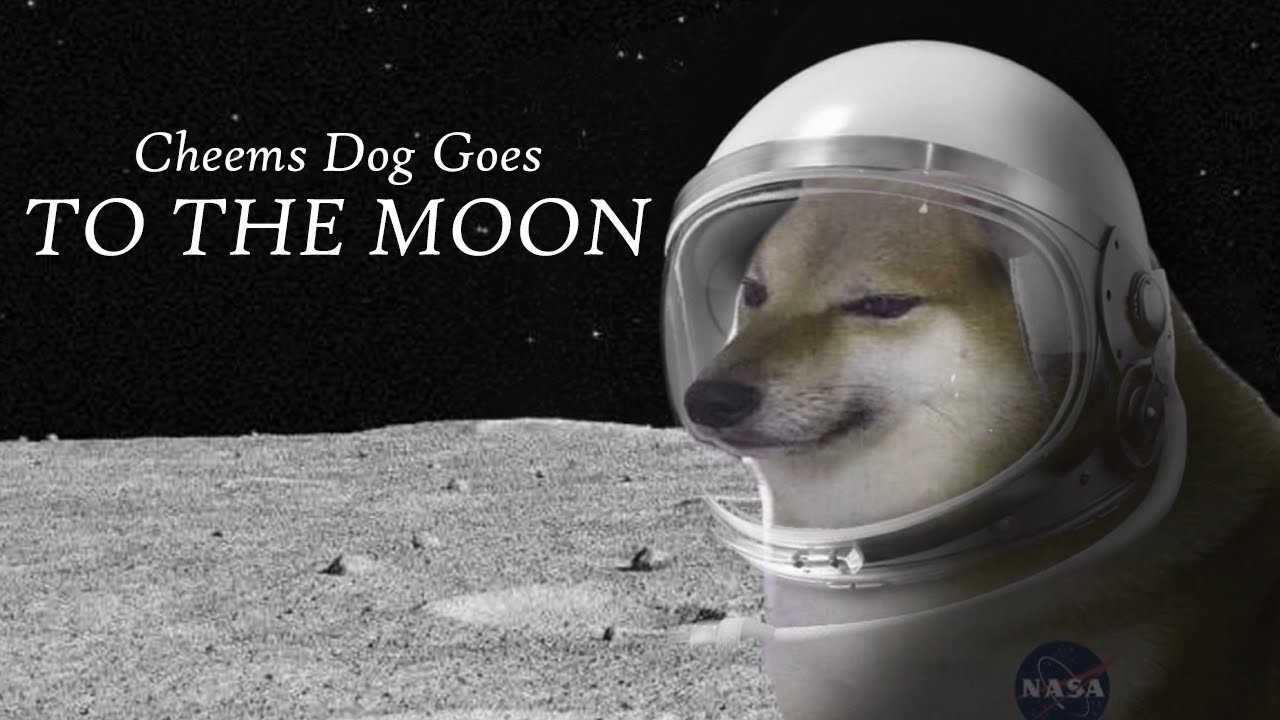 Cheems Dog Goes To The Moon