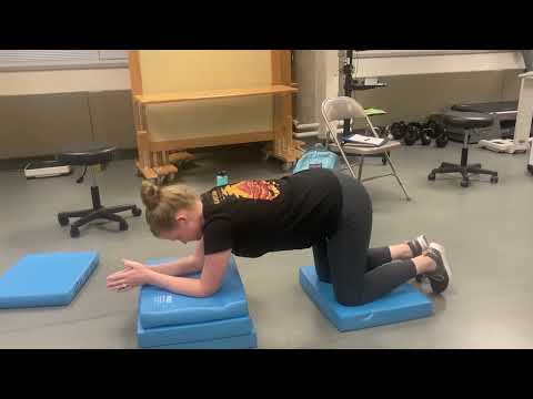 ASLR Breathing correctives | Stagnation Therapy