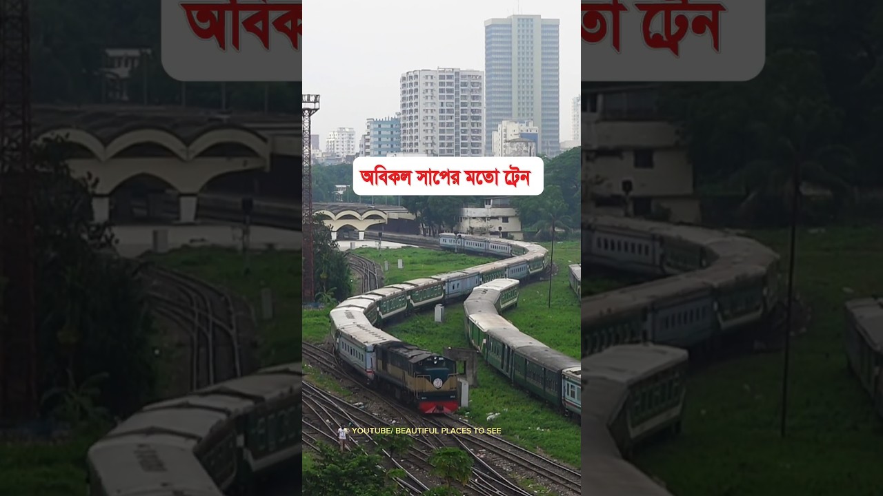 Amazing snake shape train