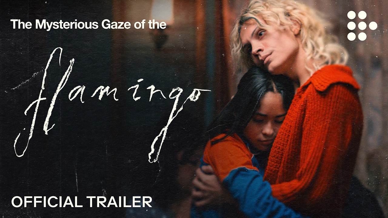 THE MYSTERIOUS GAZE OF THE FLAMINGO | Official Trailer | On MUBI May 15