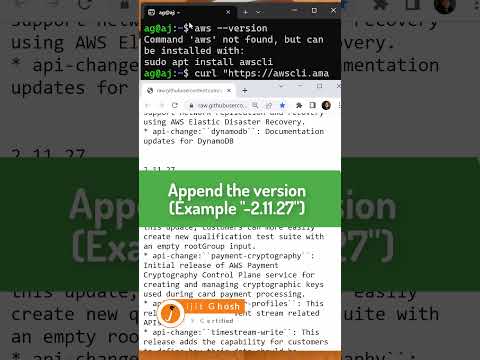 How to install specific version of the AWS CLI?