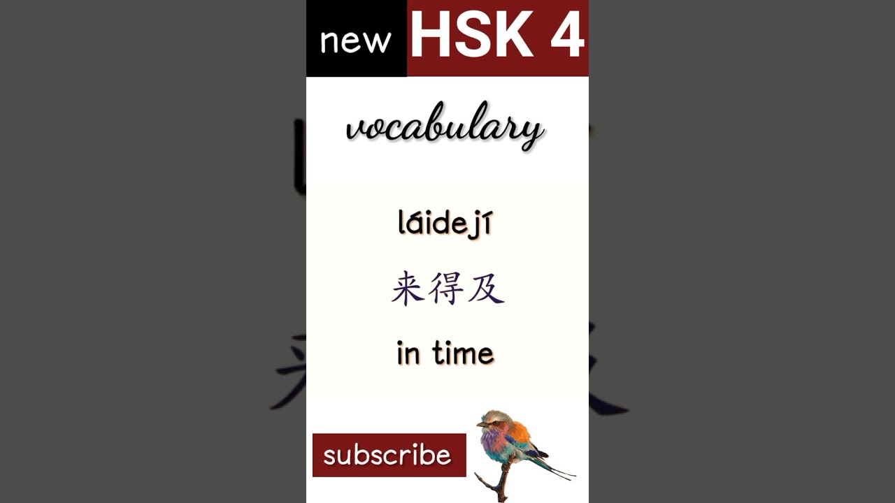 new hsk 4 vocabulary daily practice words| Chinese language hsk4