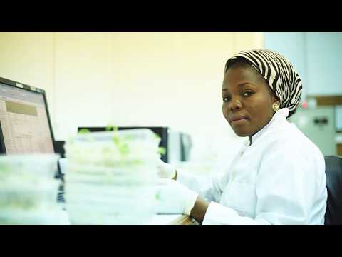 New Applications for Data: CGIAR's Promising New Research