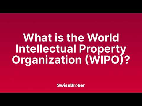 What is the meaning of the World Intellectual Property Organization (WIPO)? [Audio Explainer]