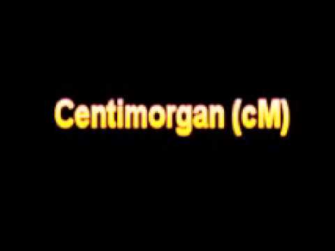 What Is The Definition Of Centimorgan cM Medical Dictionary Free Online