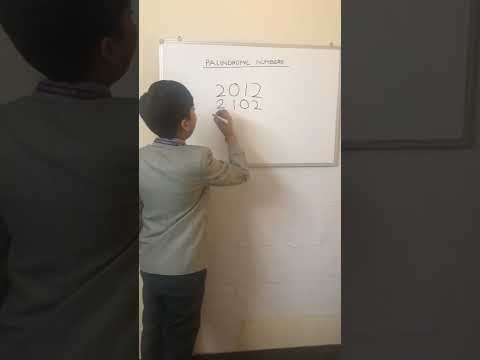 Palindrome Numbers