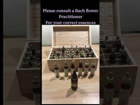 How to make a Bach Flower Essence Remedy Mix 🌸