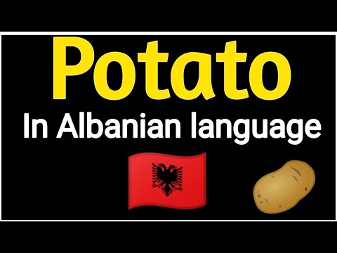 How To Pronounce "Potato" 🥔 In Albanian language 🇦🇱 .