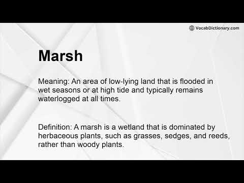 Marsh Meaning