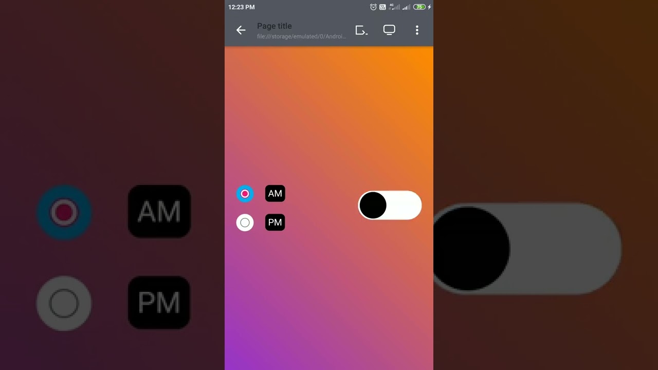 Custom style toggle switch and Radio Button Design using CSS