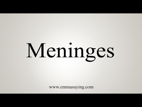 How To Say Meninges