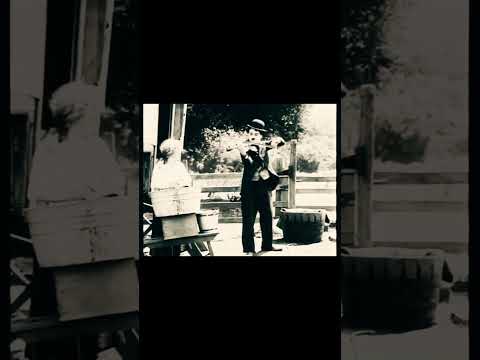 Charlie Chaplin | Legendary Silent Comedy Video | Public Demand | Retro Voalt Screen