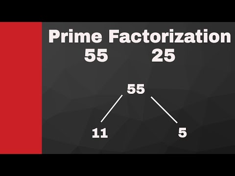 Prime factorization of 55 and 25
