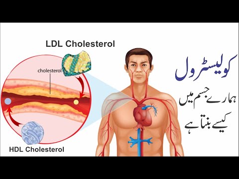 what is exact definition of cholesterol | difference between hdl and ldl cholesterol in Urdu Hindi