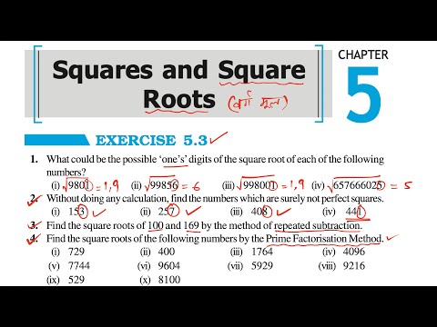 Class 8 Maths Ex. 5.3 Complete Solution | Chapter 5: Squares and Square Roots (English & Hindi)