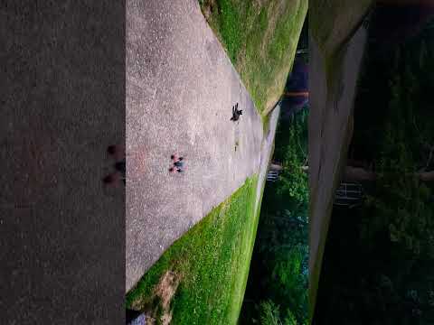 sharper image mach x video drone