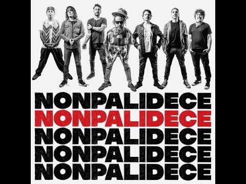 “Trascendimos el género del reggae” - TusRadios