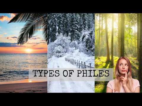 Types of Philes | In English
