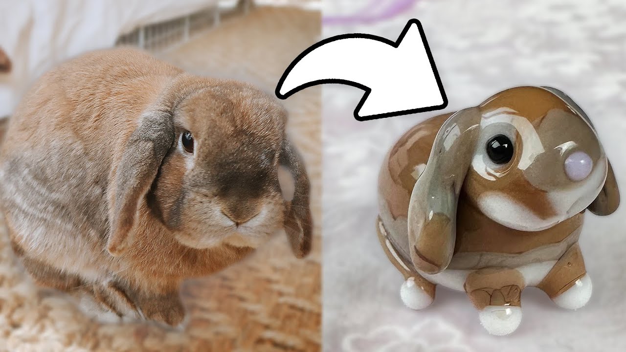 Testing Bizarre Rabbit Products: Are They Worth It?