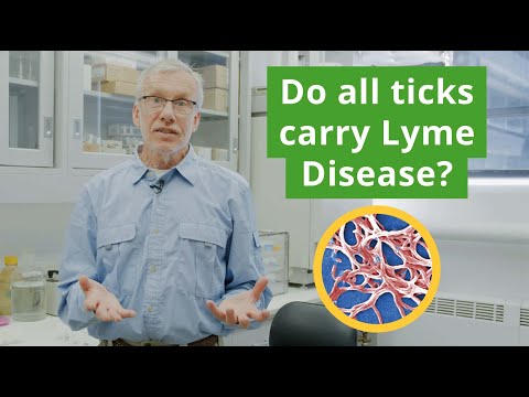 What is Lyme Disease? What Are the Signs and Symptoms?