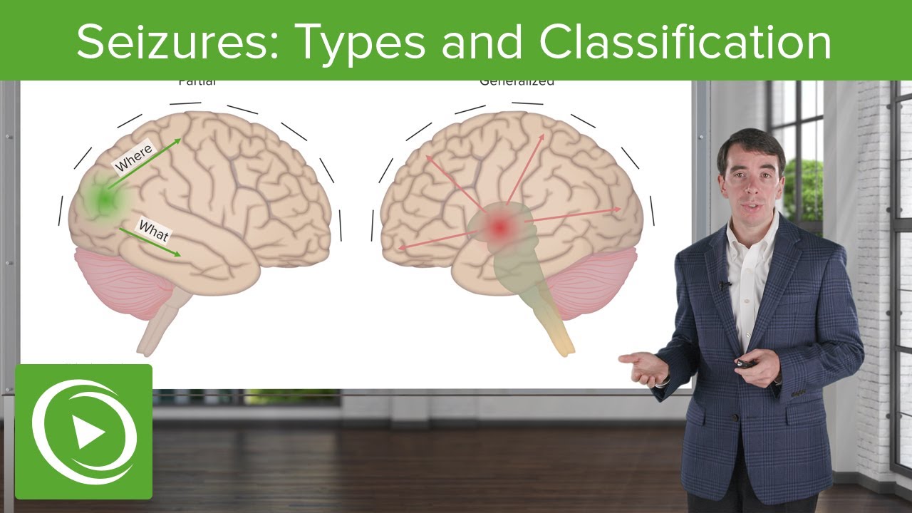 Seizures: Types and Classification | Clinical Neurology