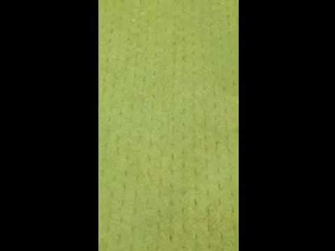 Planet Air on Green