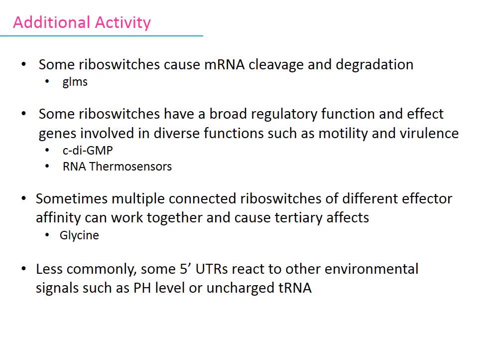 Riboswitch Screencast
