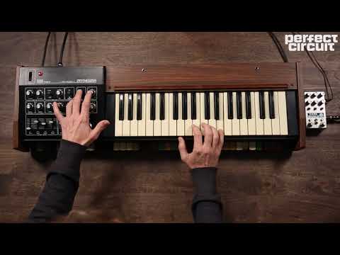 Chase Bliss Dark World Reverb With A Vintage Roland SH-1000