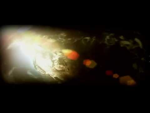 The Zeitgeist Movement: Passive Resistance