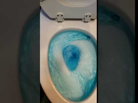 20191229 093118 Toto Drake Duel flush toilet 1.28 gal