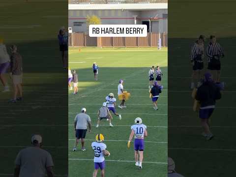 LSU Football 5 ๐ Harlem Berry is explosive ๐