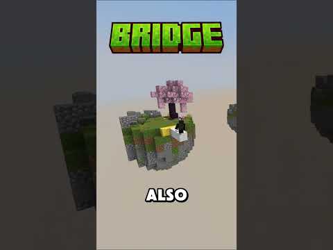 Phoenix Network - Minecraft Survival Server IP