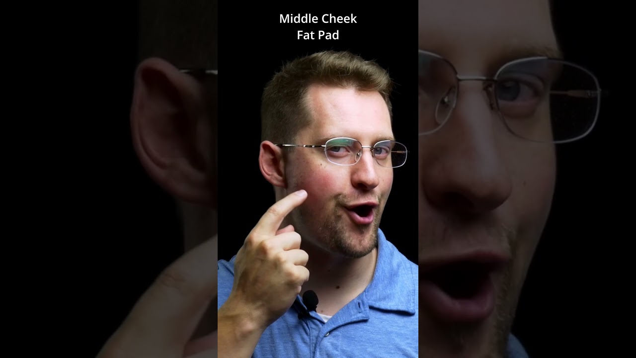 Fat Pads of the Face for Artists & Sculptors.