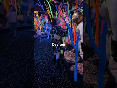 #meowwolf never disappoints. checked out their exhibit in #santafe #newmexico #travelvlog