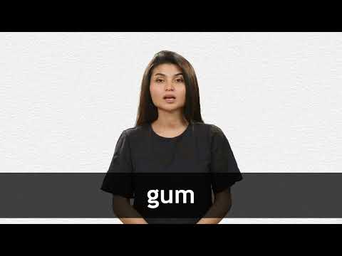 GUM definition and meaning | Collins English Dictionary