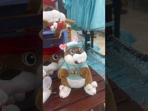 2024 Buc-ee’s Easter Merchandise #bucees #easter