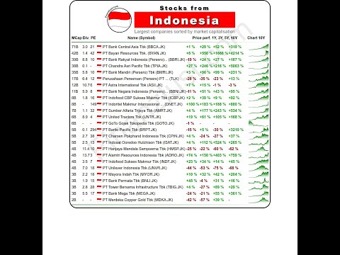 Which Indonesia 🇮🇩 stocks are there? [January 2025]