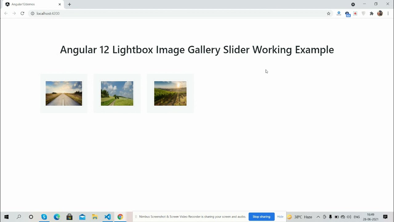 Angular 12 lightbox Image Gallery Slider Working Example