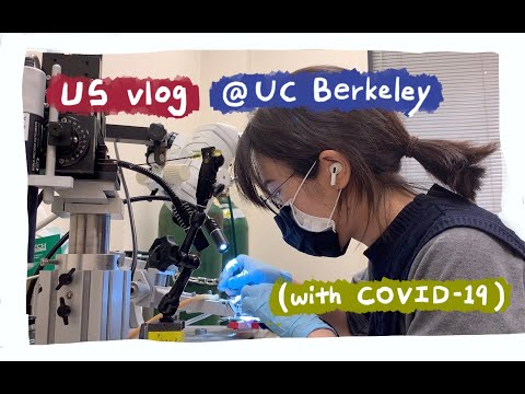 美國vlog｜Berkeley研究助理日記（主演：COVID-19） - YouTuber板 | Dcard