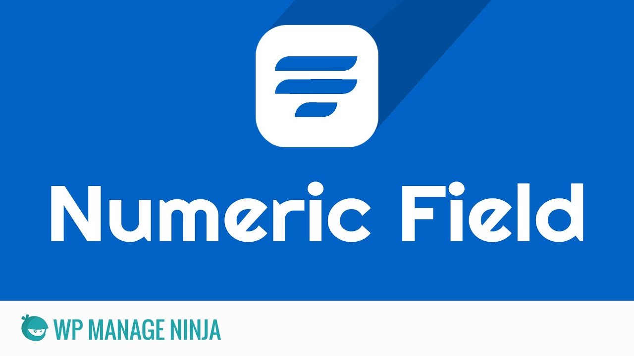 Numeric Input Field in WP Fluent Form WordPress Plugin