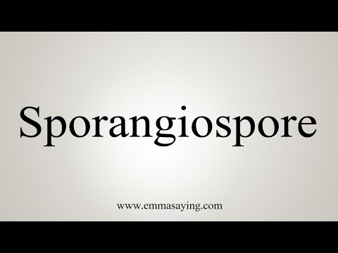 How To Say Sporangiospore