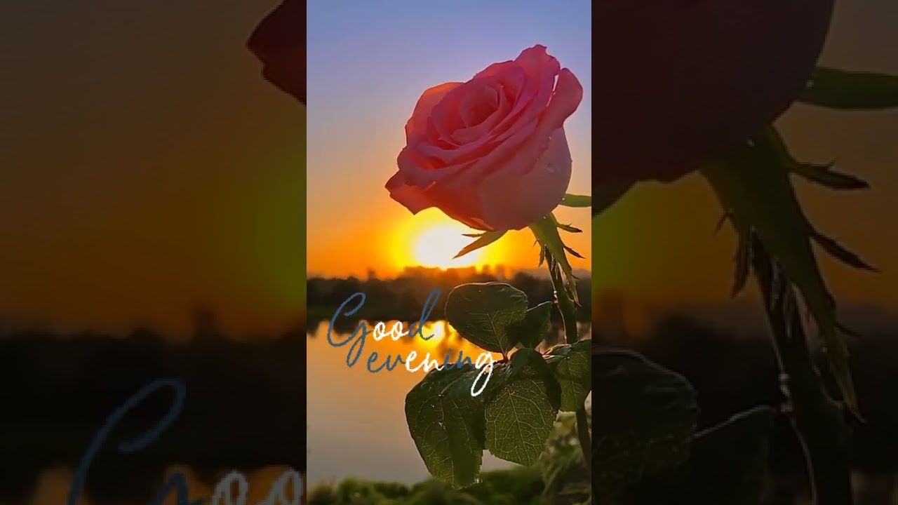 Good Evening